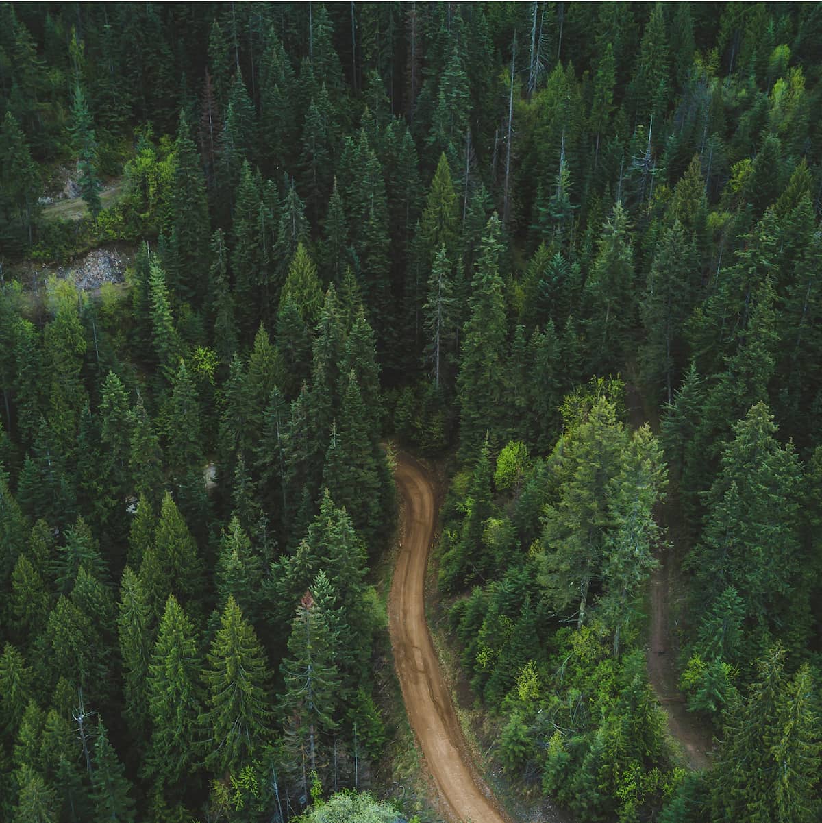 Home | Cascadia Sustainable Aviation Accelerator